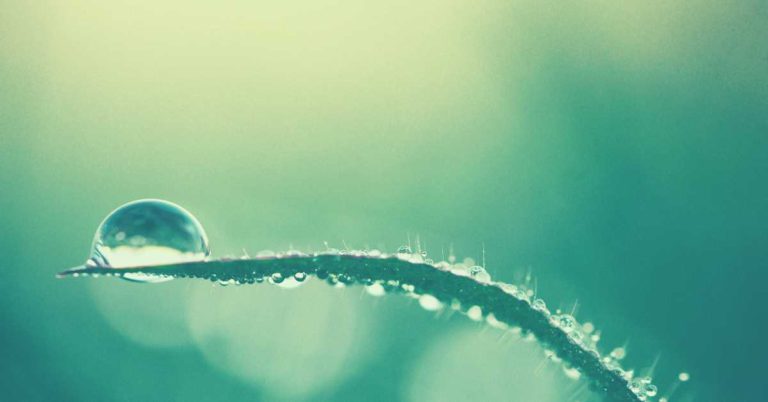 Why water is one of the strangest things in the universe - FinGlobal