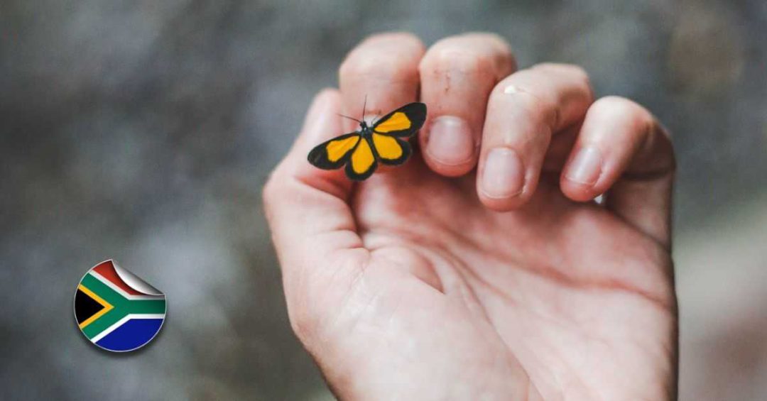 What’s on your bucket list for mindfulness? - FinGlobal